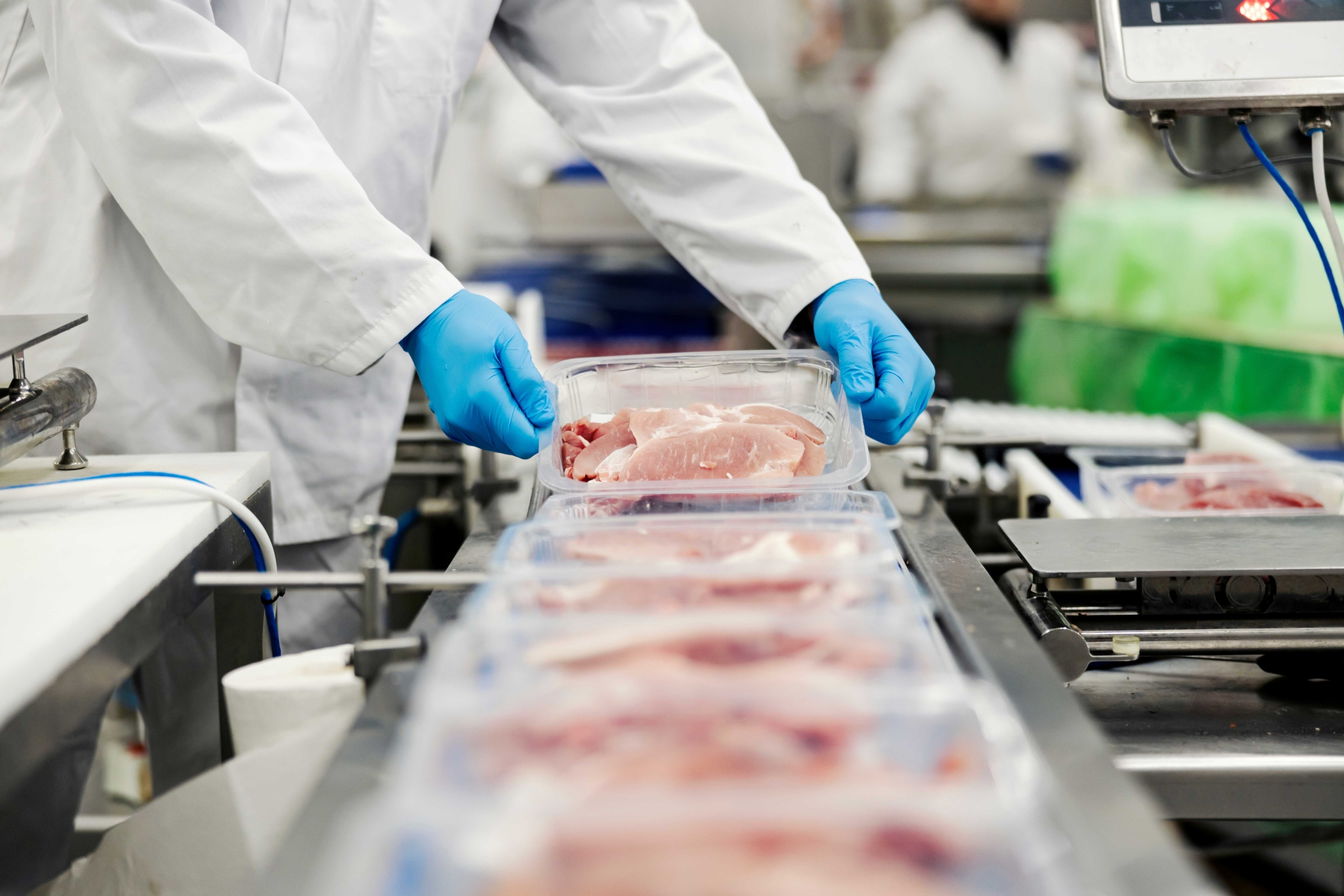 Understanding ATP Degradation in Food Processing and Its Impact on ...